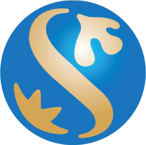 Thương hiệu Shinhan Finance - brand